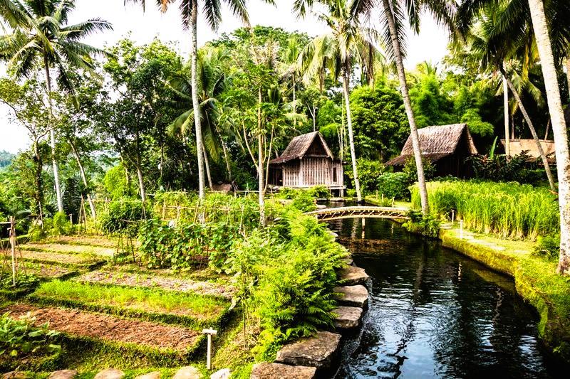 Bali Honeymoon: Bambu Indah - Bambus ist Luxus